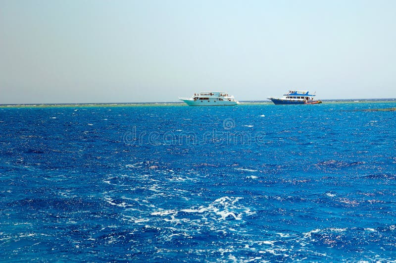 Two Sea Shells Picture. Image: 933666