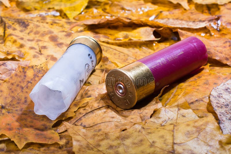 Two Shotgun Shell that Has Been Used on the Ground Stock Photo - Image ...