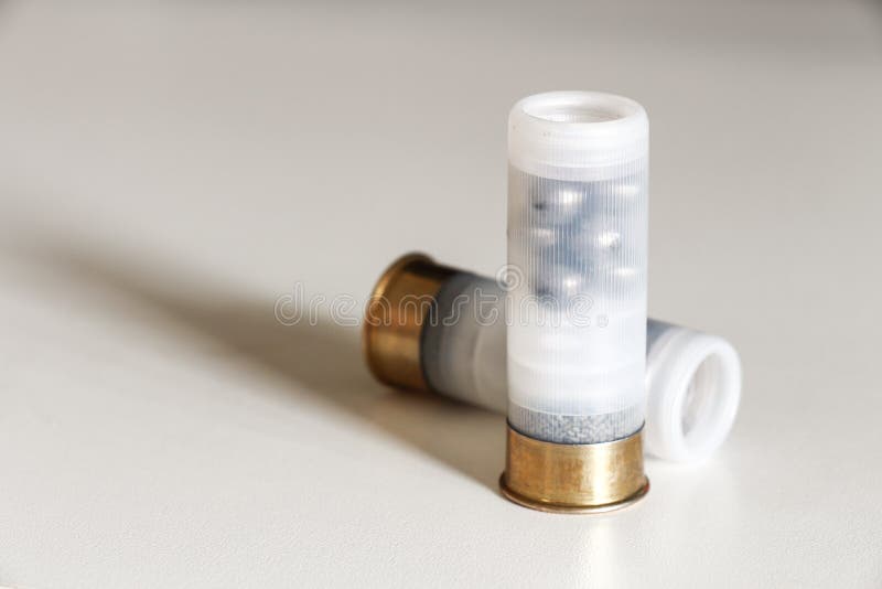 Two ShotgunShell stock photo. Image of ammo, ammunition - 88170700