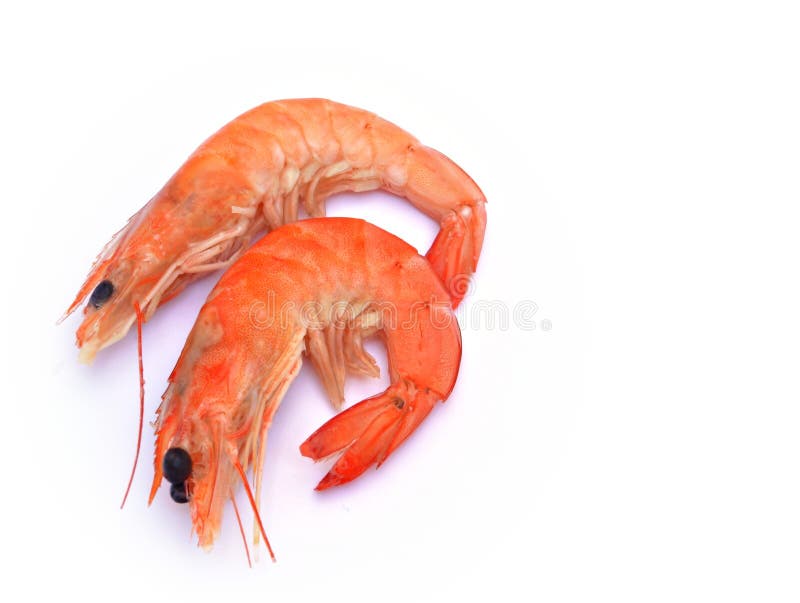 Prawn shrimp stock image. Image of food, shrimp, market - 11860423