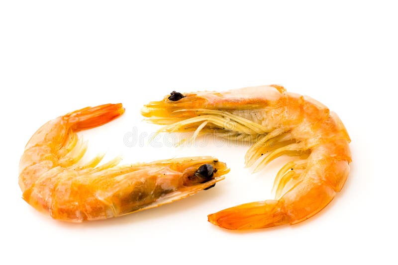 Two Shrimp stock image. Image of prepared, cuisine, macro - 24397361