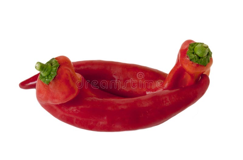 Red Shriveled Pepper on a Natural White Background. Stock Photo - Image ...