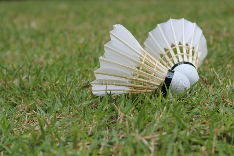 Two shuttlecocks stock image. Image of active, hobby - 37105901