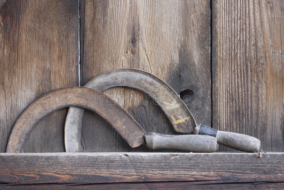 Two sickles stock photo. Image of harvesting, scythe, curved - 4920020