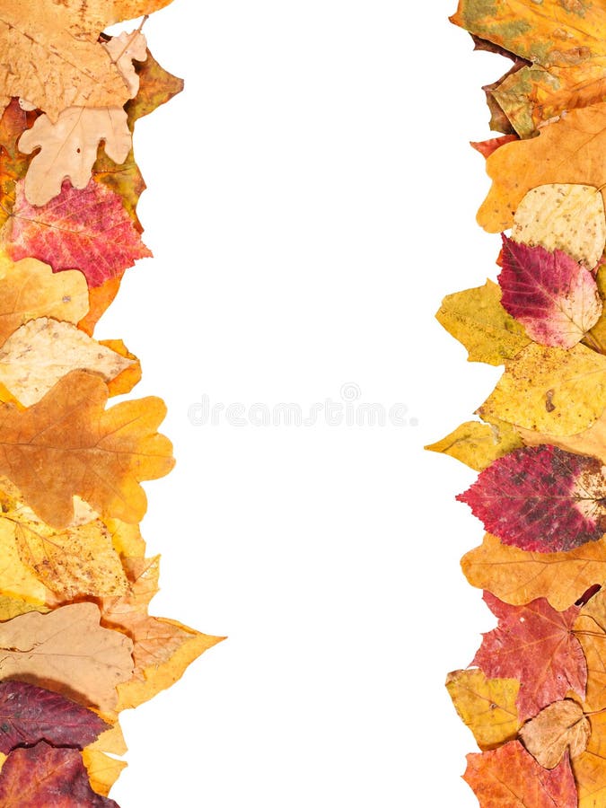 Two Side Frame from Yellow Autumn Leaves Stock Image - Image of litter ...
