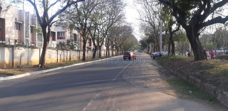 Two side tree road enjoy editorial stock photo. Image of tree - 171022793