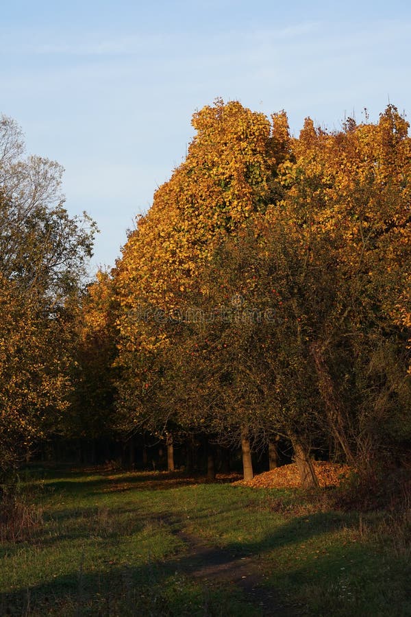 Two sides of autumn 1 stock photo. Image of outdoor - 261322602