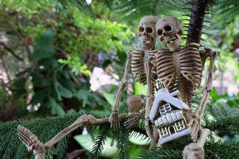 Two Skeletons with House on Hand Under the Tree Stock Photo - Image of ...