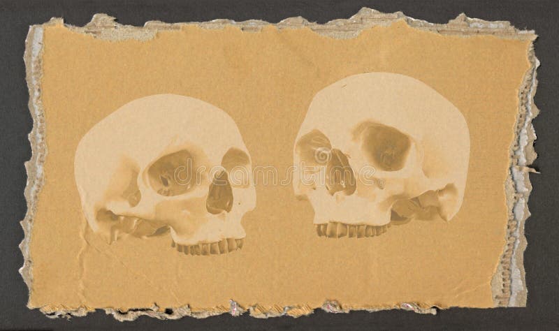 Two skulls 1 stock illustration. Illustration of rock - 7470394