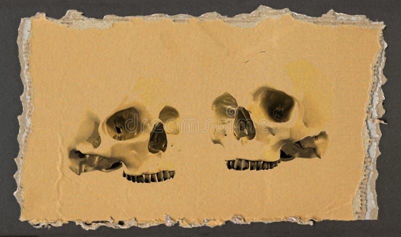 Two skulls 3 stock illustration. Illustration of buccaneer - 7470503