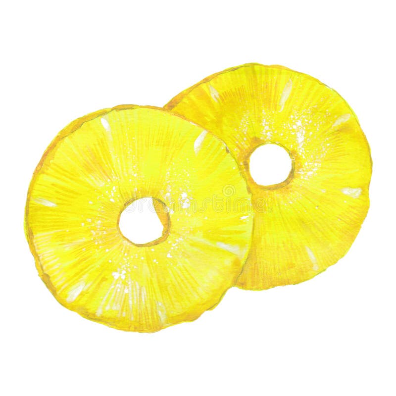 Pineapple Watercolor Stock Photos - Download 375 Royalty Free Photos