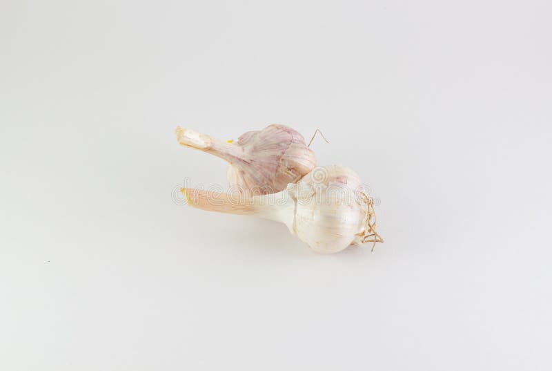 Two Small Bulbs of Garlic, on White Background Stock Photo - Image of ...