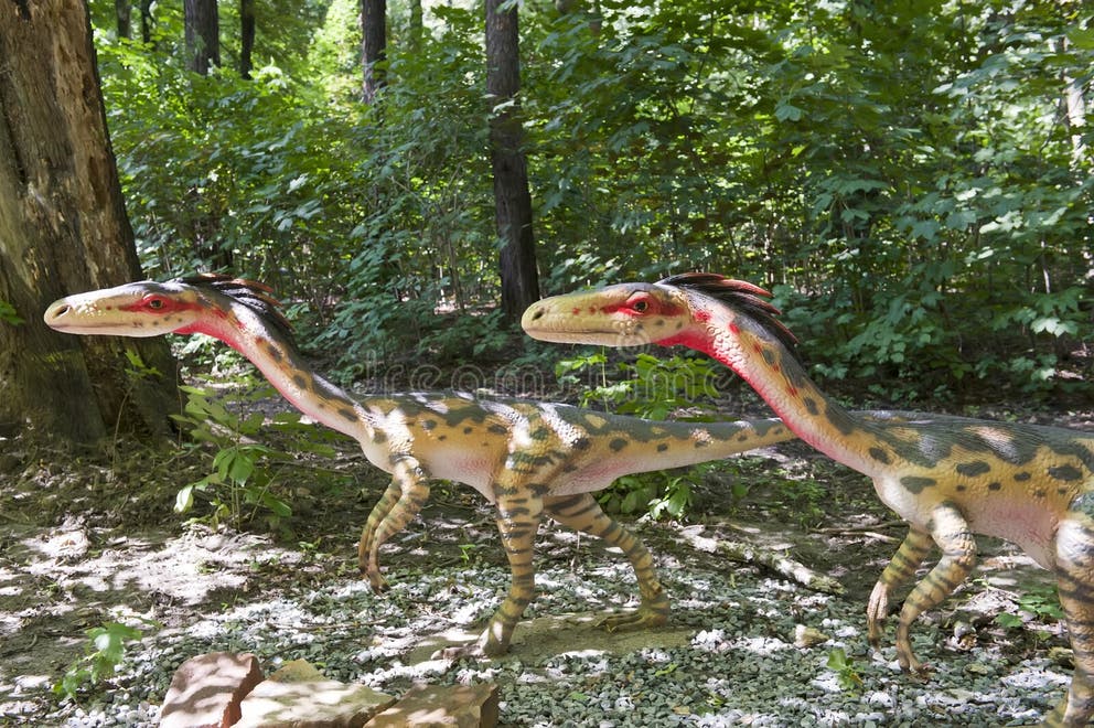 Two small dinosaurs stock photo. Image of fossil, extinct - 25531942