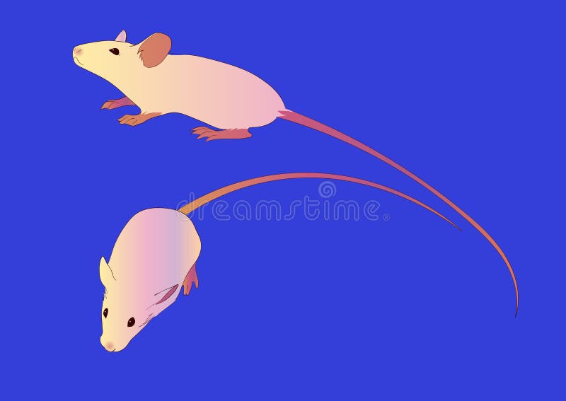 Two Funny Mice Stock Illustrations – 322 Two Funny Mice Stock ...