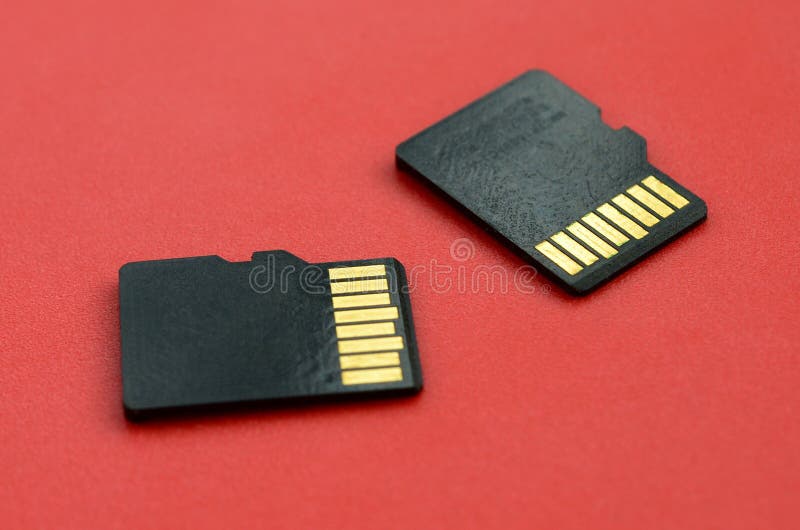 Two Small Micro SD Memory Cards Lie on a Red Background. a Small and ...