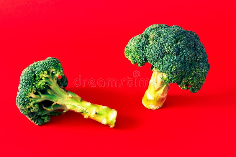 Small Pieces of Broccoli on a Red Background Stock Photo - Image of ...