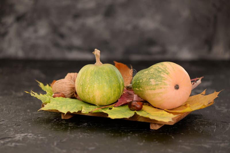 Two Small Pumpkins on Fall Leaves Isolated on Black Backstage Stock ...