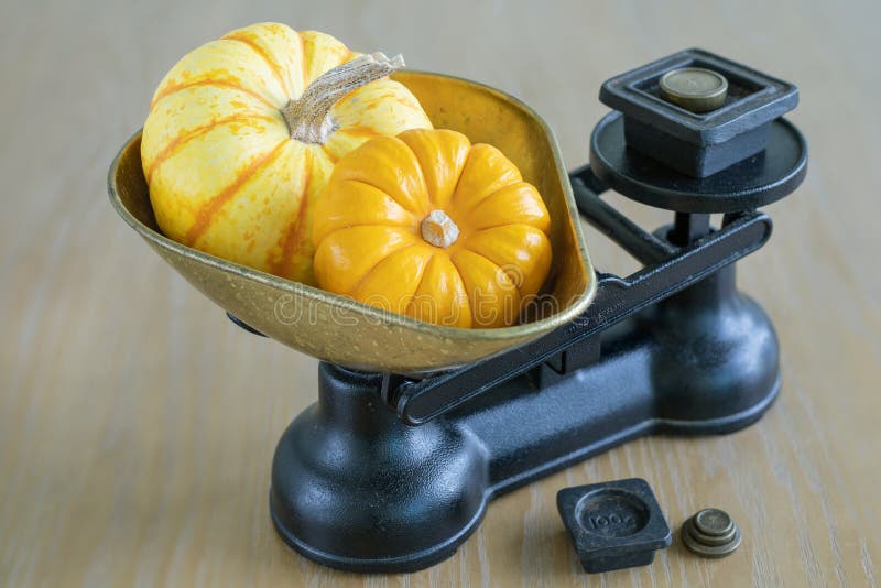 Weigh Pumpkins Stock Photos - Free & Royalty-Free Stock Photos from ...