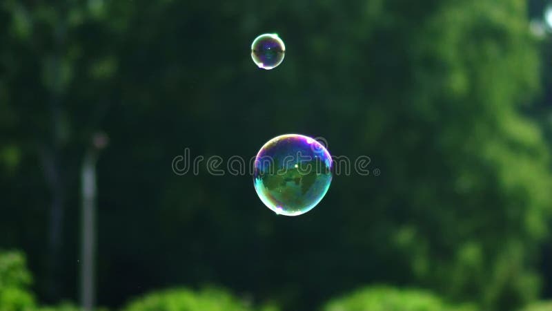 Two Small Soap Bubbles Flying and Shining. Metamorphosis of Bubbles ...