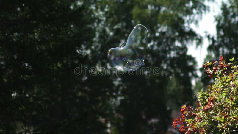 Two Small Soap Bubbles Flying and Shining. Metamorphosis of Bubbles ...