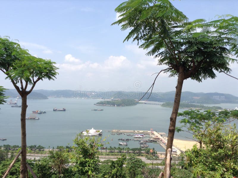 Two Small Trees ,distant Bay Editorial Stock Image - Image of trees ...