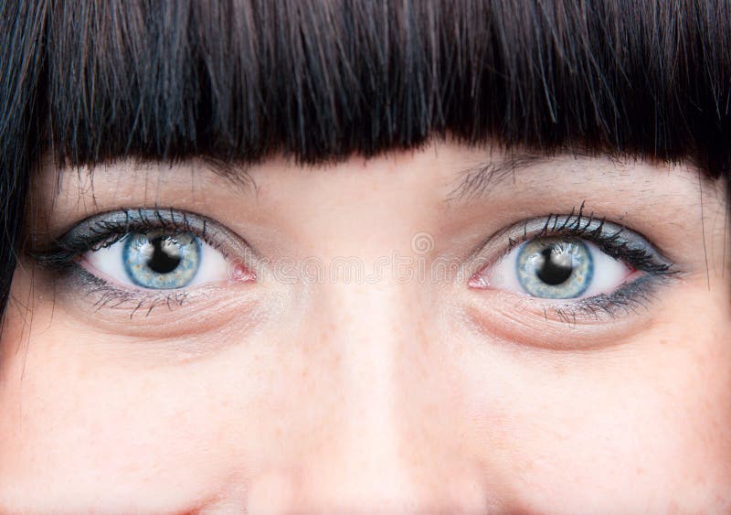 Two eyes stock image. Image of beautiful, eyesight, majestic - 14086399