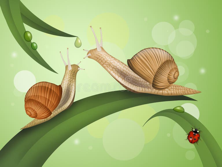 Two Snails Leaves Stock Illustrations – 129 Two Snails Leaves Stock ...