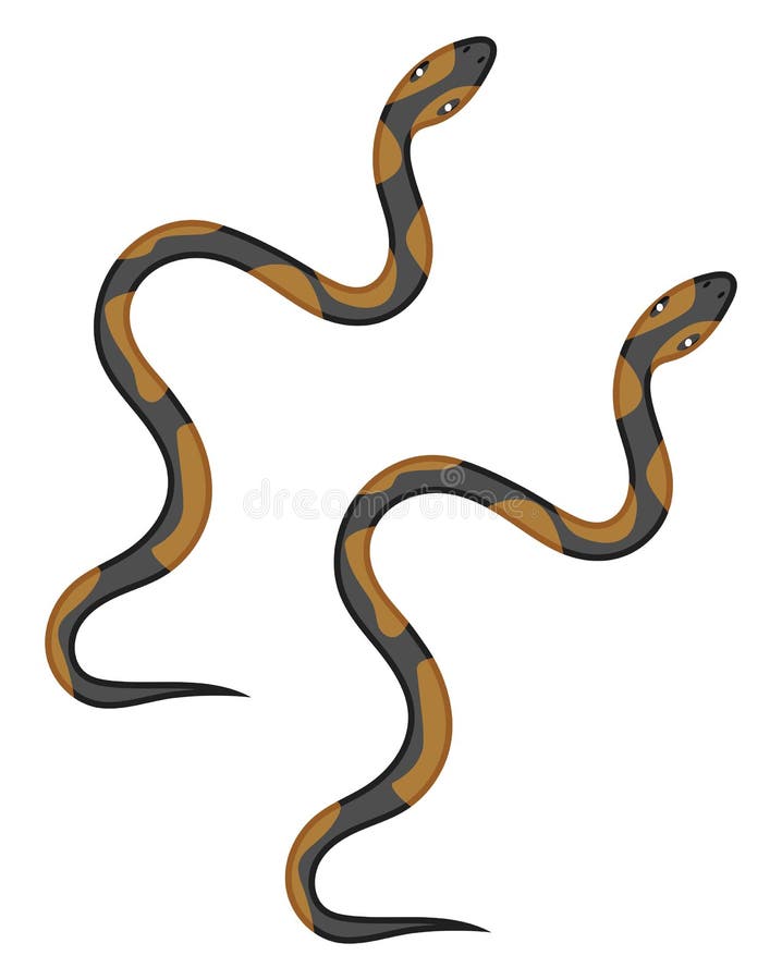 Interwoven Snakes Stock Illustrations – 20 Interwoven Snakes Stock ...