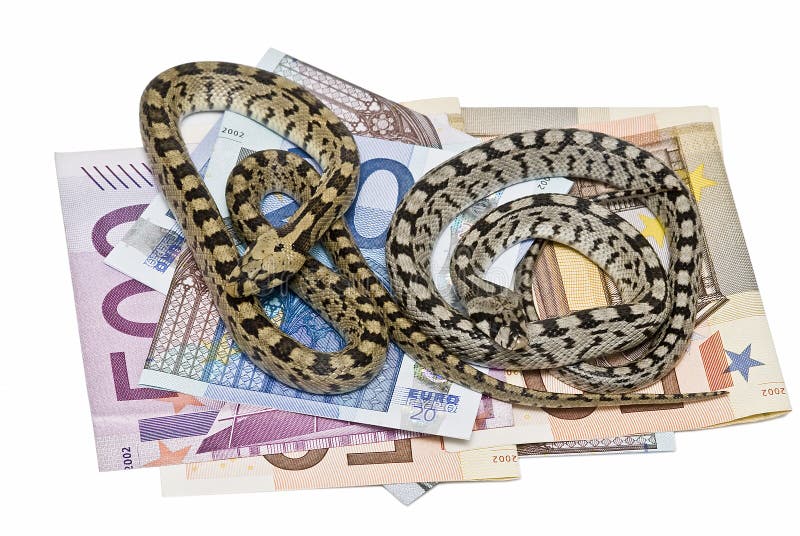 Two Snakes on a Lot of Money. Stock Image - Image of idea, demon: 14613171