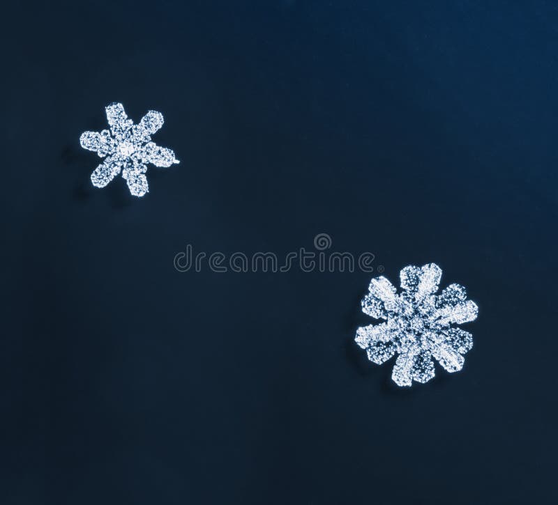 Two Snowflakes stock image. Image of frosted, season - 133925373