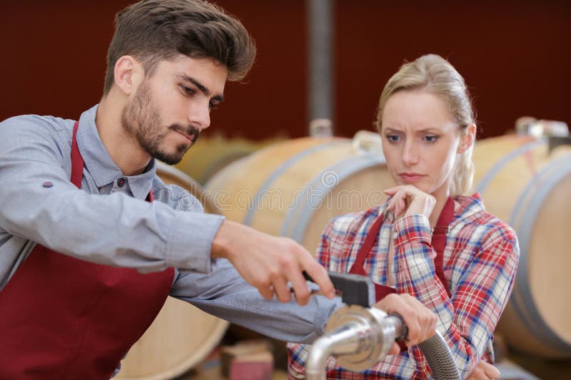 Two Sommeliers in Winery Cellar Stock Image - Image of person, alcohol ...