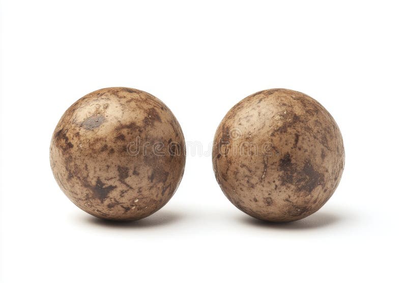 Pair of Textured Brown and Beige Spheres on White Background Stock ...