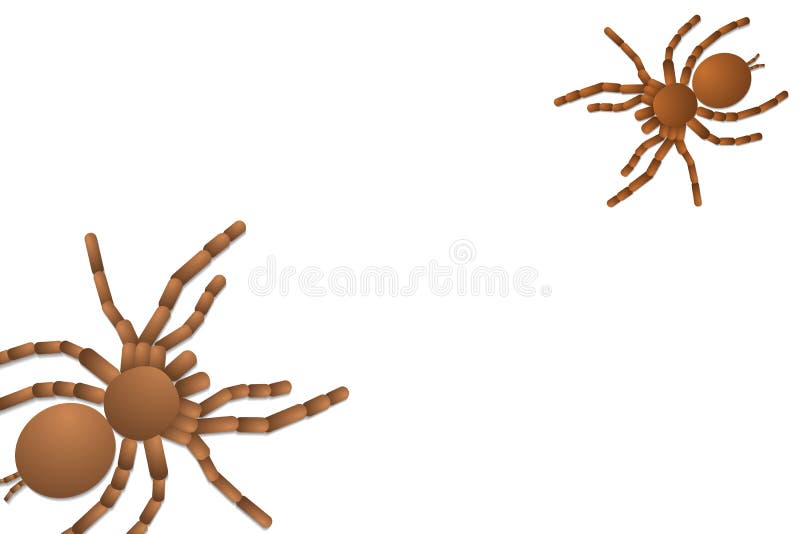 Spider Top View Stock Illustrations – 904 Spider Top View Stock ...