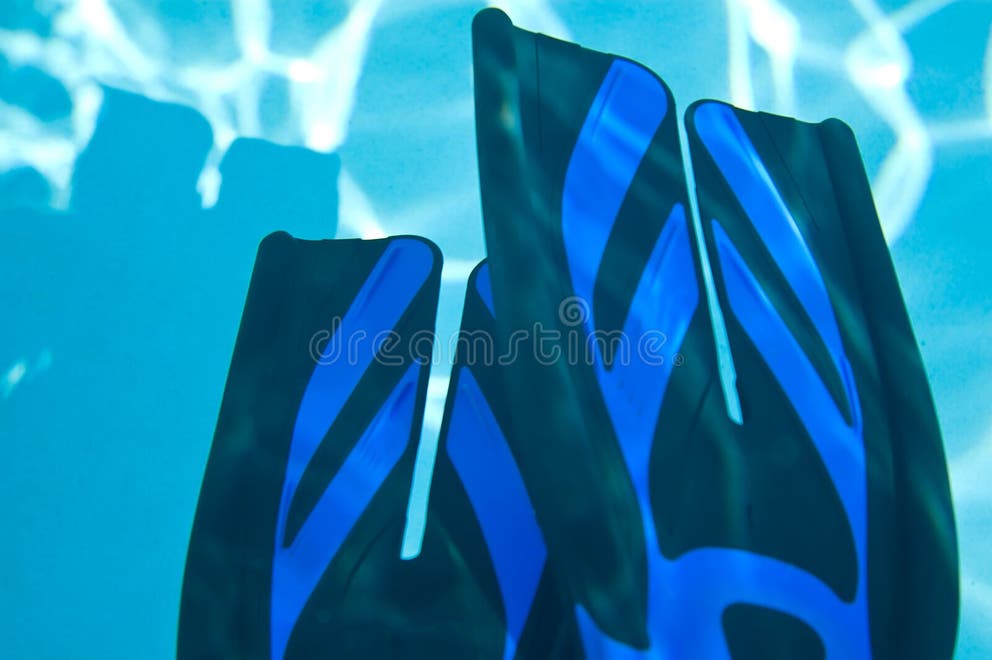 Two Split Swim Fins Underwater Stock Photo - Image of cool, water: 4090628