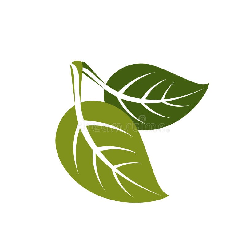 Two Leaves Simple Stock Illustrations – 1,256 Two Leaves Simple Stock ...