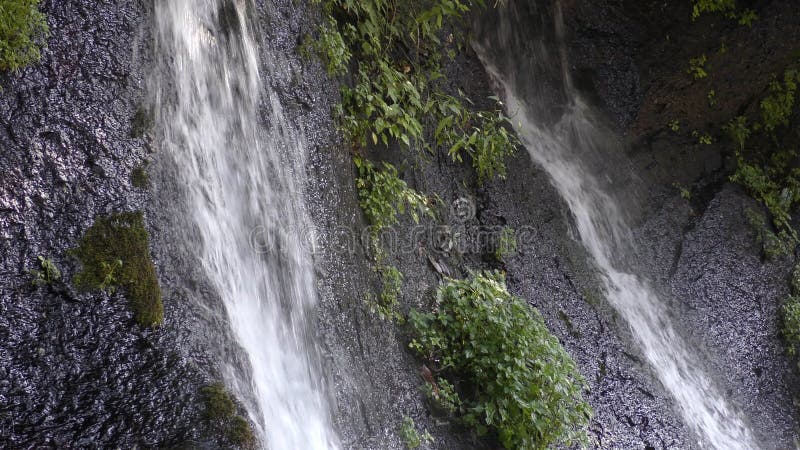 Two spring water stock footage. Video of flow, refreshing - 121701586