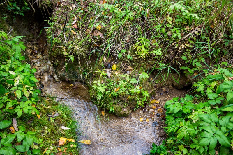 Two Springs Coming Out of the Ground Stock Photo - Image of descending ...