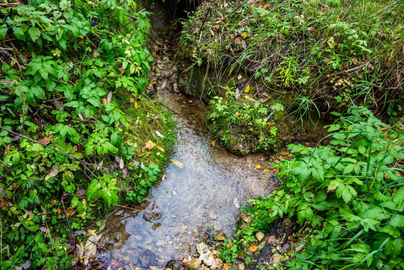 Two Springs Coming Out of the Ground Stock Photo - Image of drinking ...