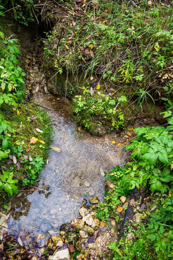 Two Springs Coming Out of the Ground Stock Image - Image of outflowing ...