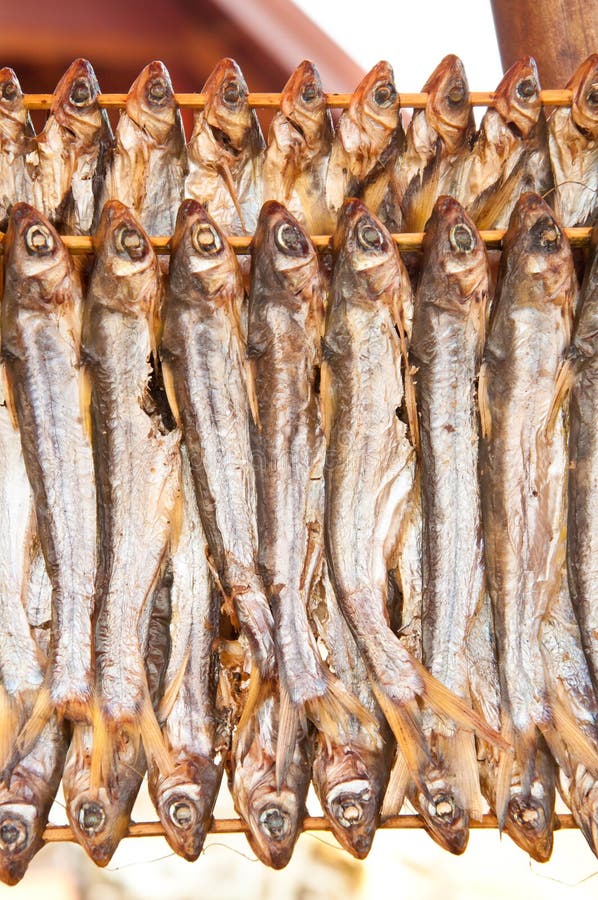 Dry fish stock photo. Image of uncooked, dinner, cooking - 25414556