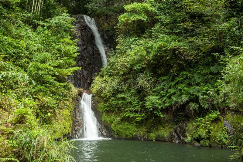 Two stage narrow waterfall stock image. Image of forest - 170349519