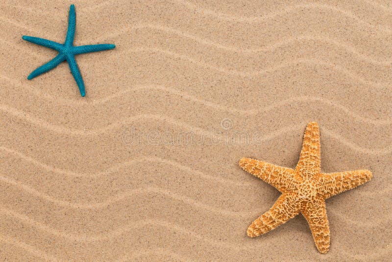 Two Starfish Lie on the Wavy Dunes of Sand. View from Above Stock Photo ...