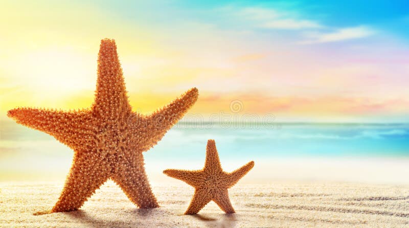Two Starfish in Sand on the Beach Stock Photo - Image of ocean, closeup ...