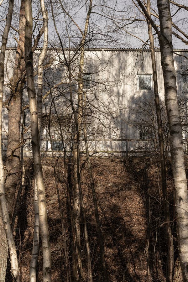 Two Storey Warehouse Behind a Small Forest.. Stock Image - Image of ...