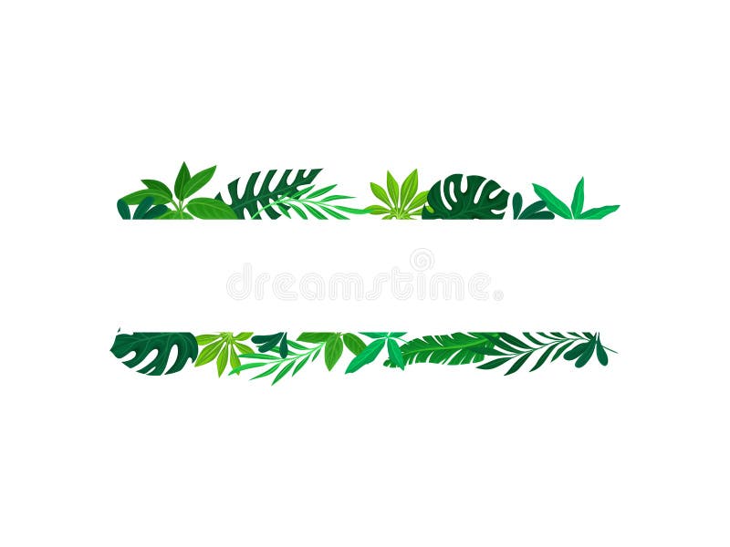 Two Straight Leaves. Vector Illustration on White Background. Stock ...