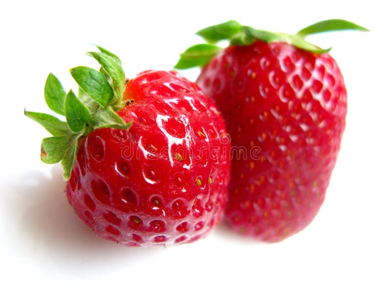 Strawberry plant stock photo. Image of good, fruits, vitamins - 212902
