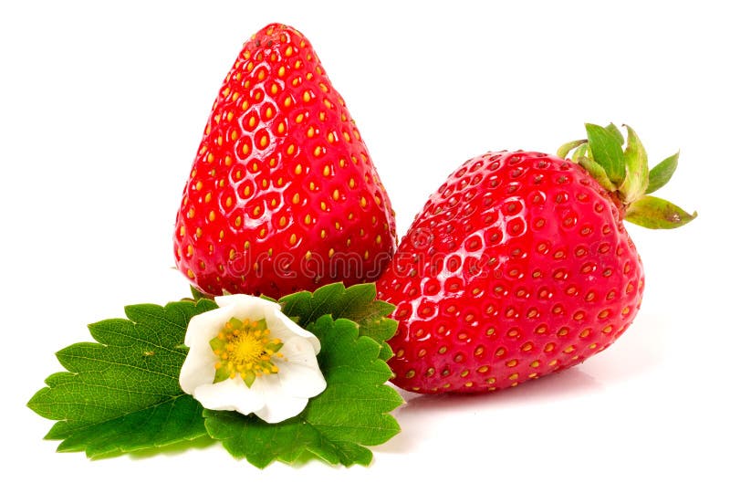 Two Strawberries with Flower and Leaves Isolated on White Background ...