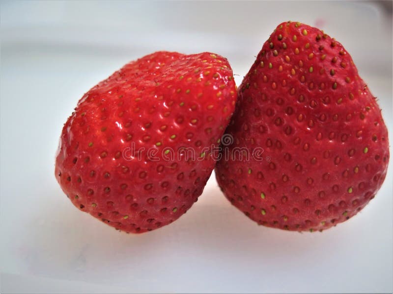 Fresh Strawberry Ready for Eat Stock Photo - Image of dessert ...