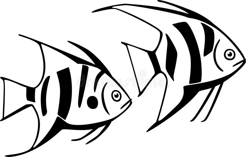 Spadefish Fish Stock Illustrations – 9 Spadefish Fish Stock ...