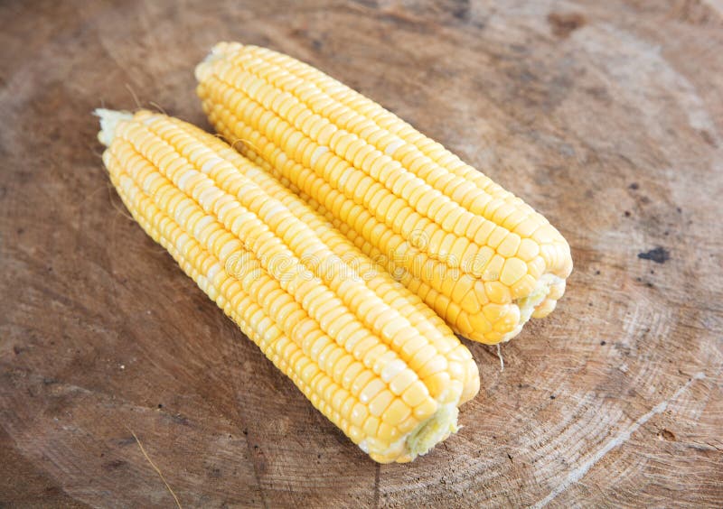 Two Stripped Tender Corn Cobs Stock Image - Image of partially, fresh ...